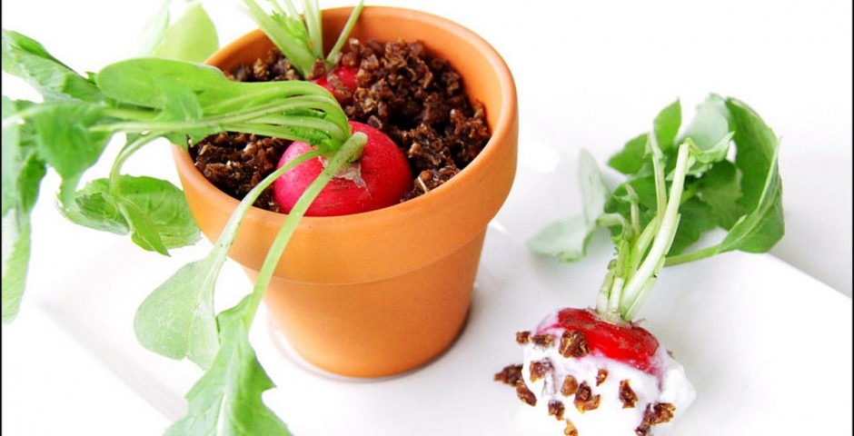 Visions Gourmandes » Chef René Redzepi Noma Copenhague