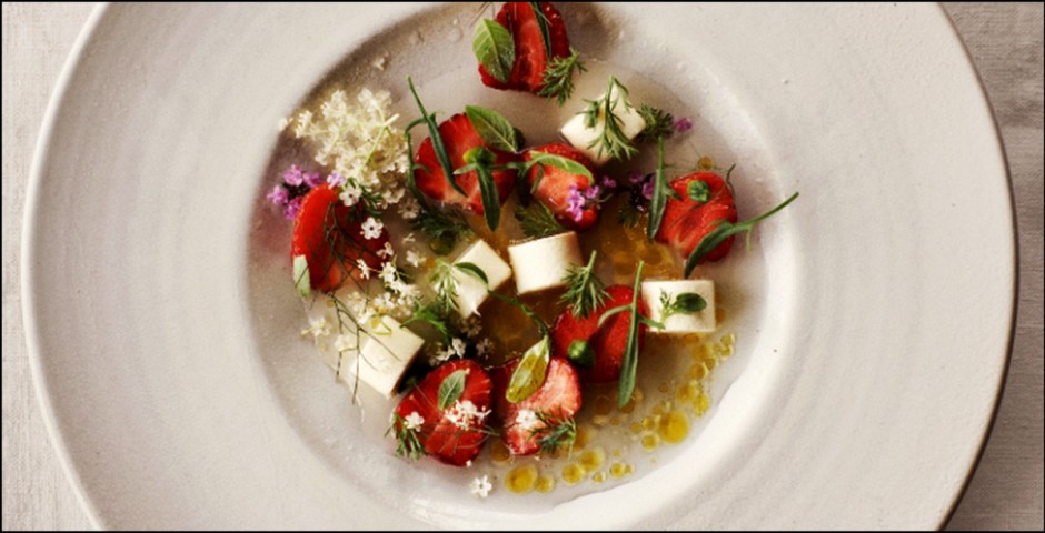 Visions Gourmandes » Chef René Redzepi Noma Copenhague